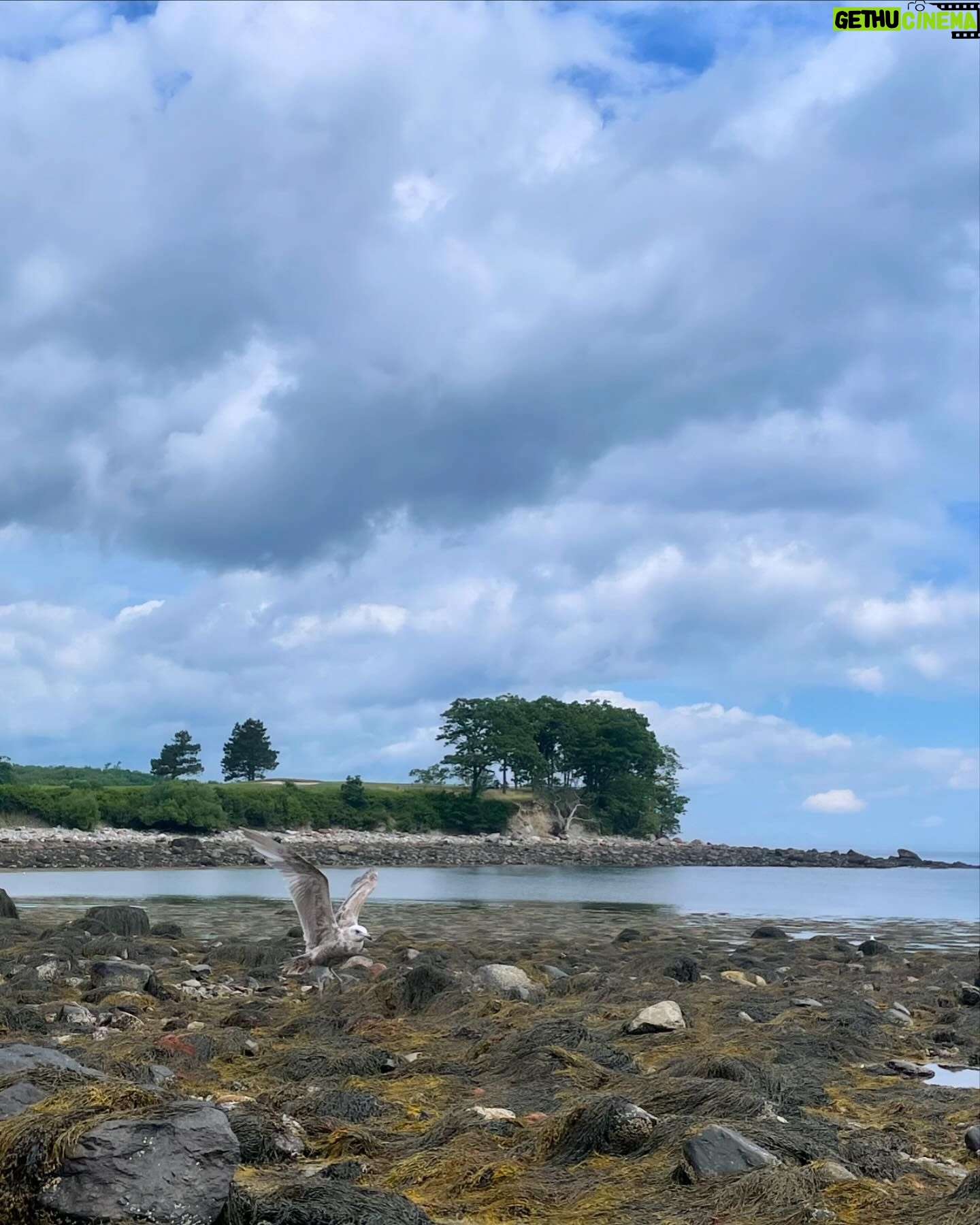 Abigail Hawk | Gethu Cinema