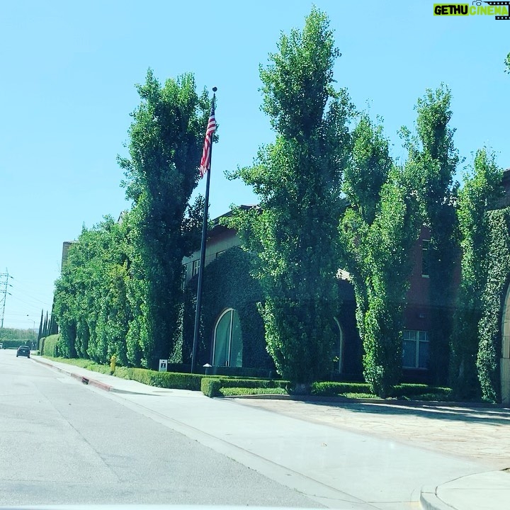 Alexander Snow | Gethu Cinema