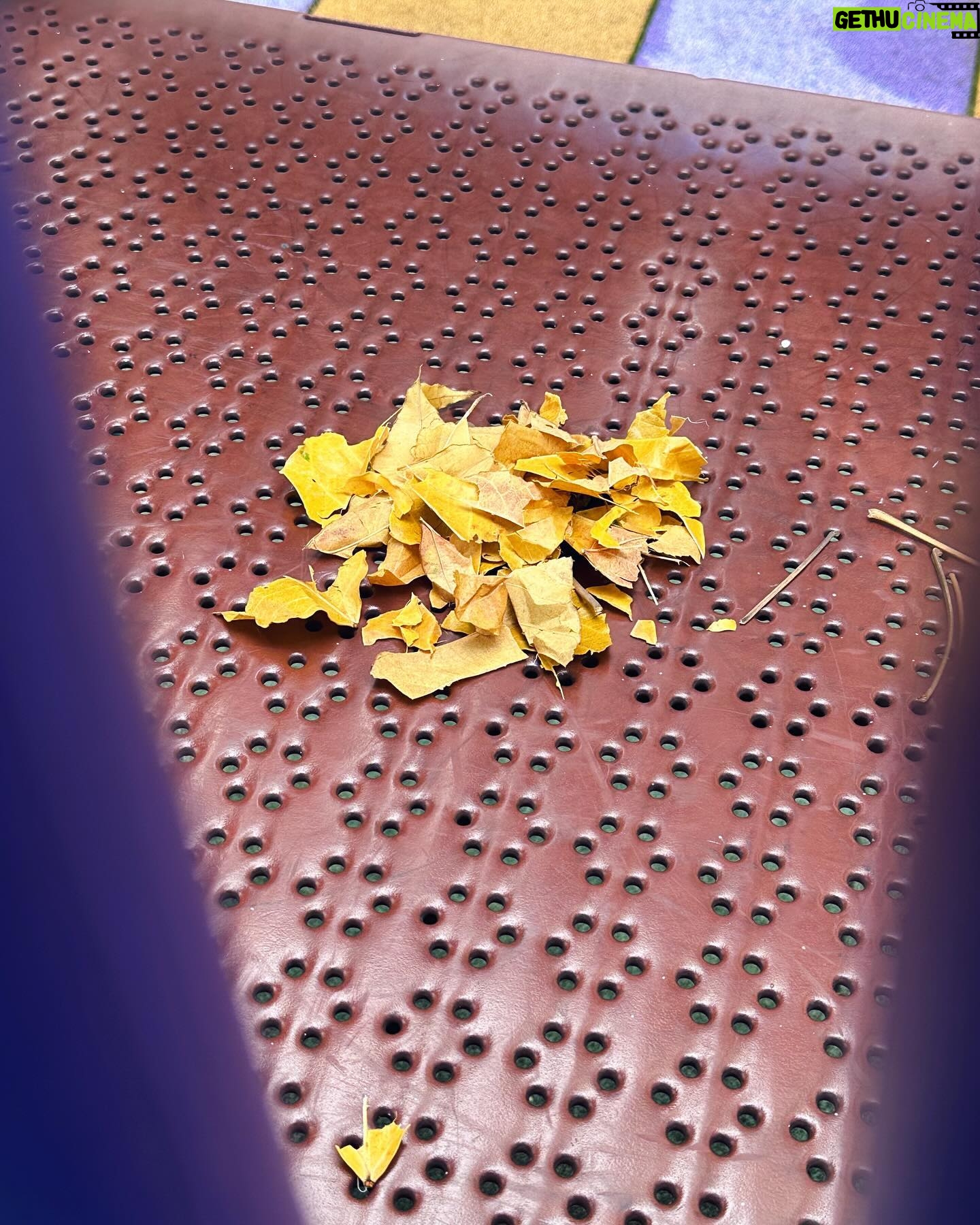 Actress Ali Lee HD Instagram Photos and Wallpapers June 2024 | Gethu Cinema