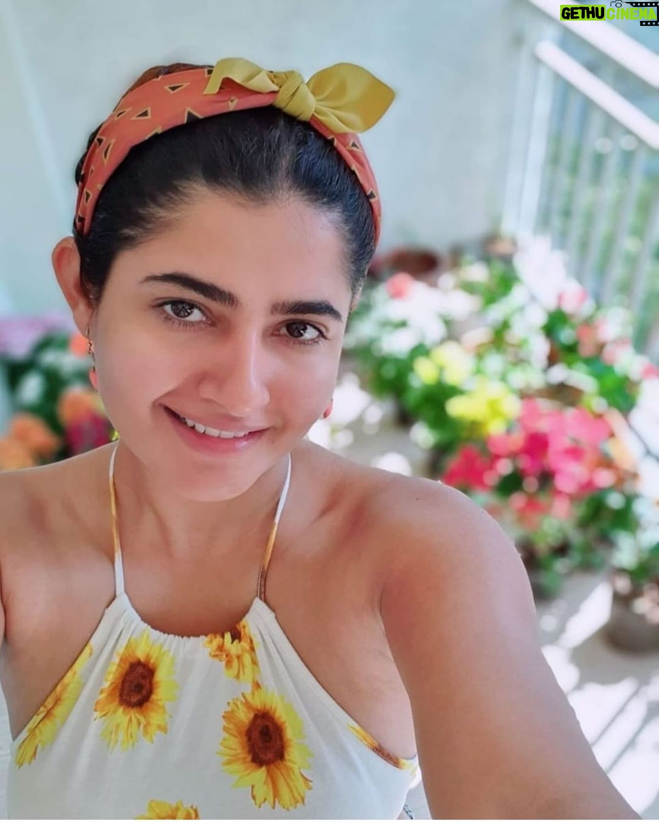 Actress Ashima Narwal HD Photos and Wallpapers September 2024 | Gethu ...