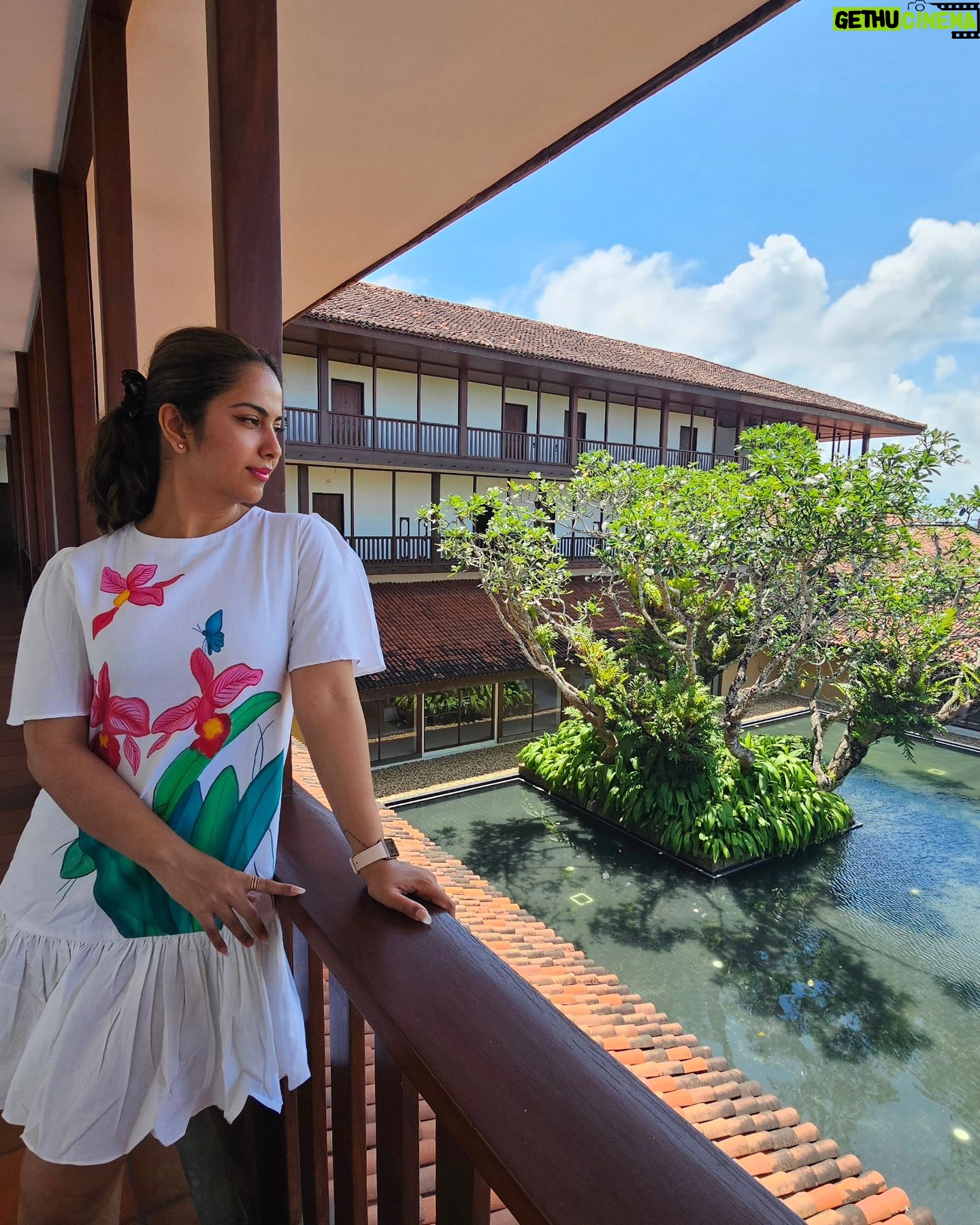 Actress Avika Gor HD Instagram Photos and Wallpapers September 2024 | Gethu Cinema