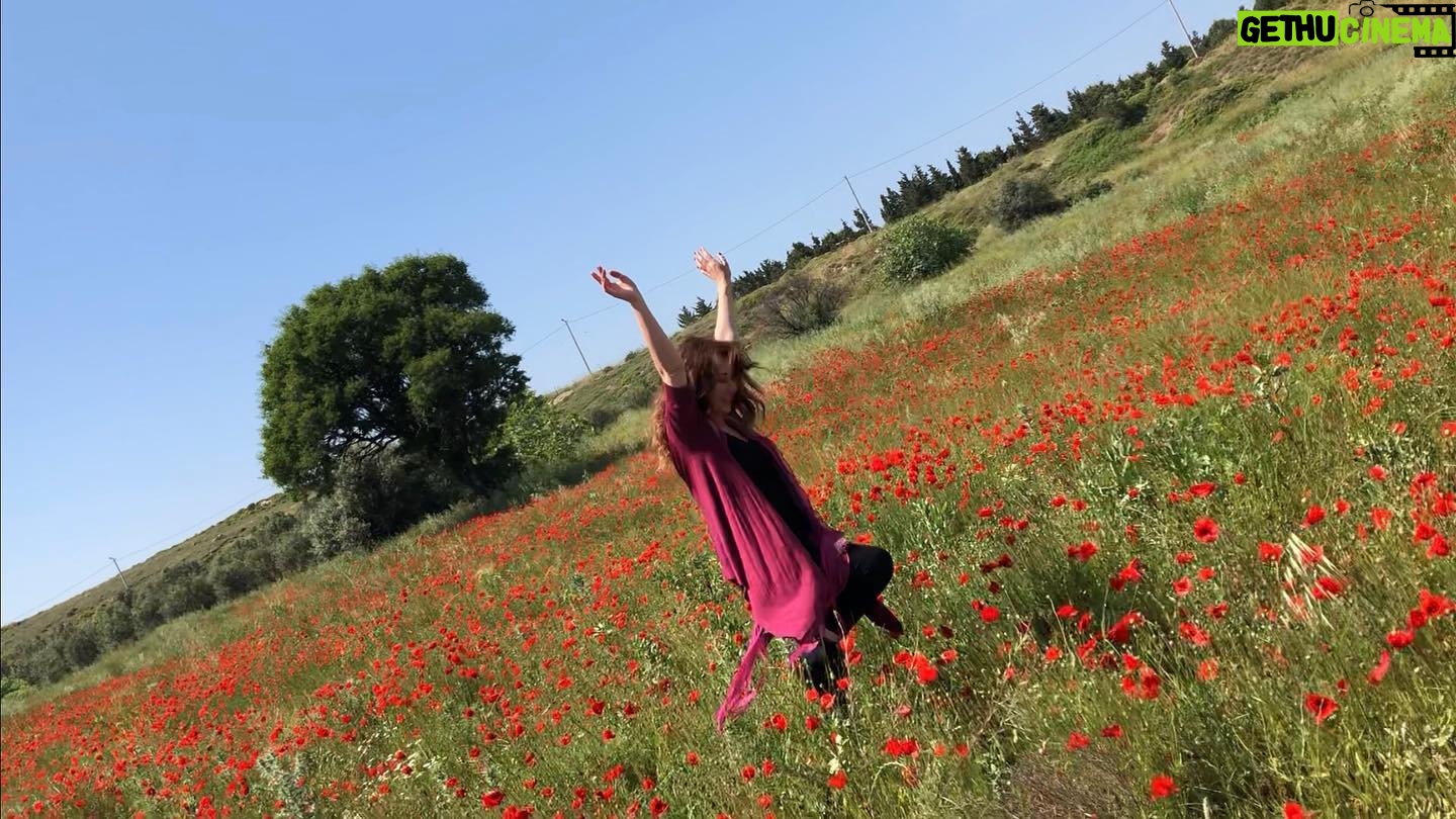 Ayşegül Ünsal | Gethu Cinema