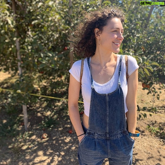 Ben Levin | Gethu Cinema