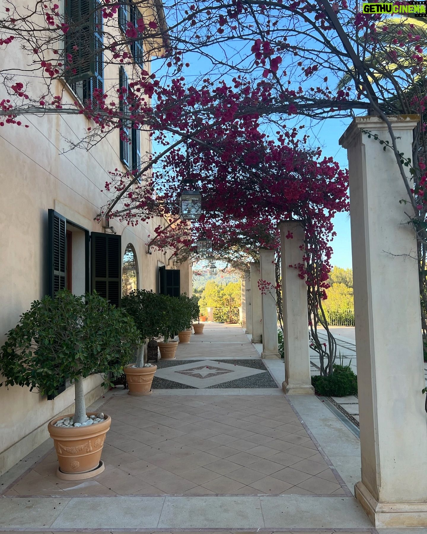 Bruna Abdullah | Gethu Cinema