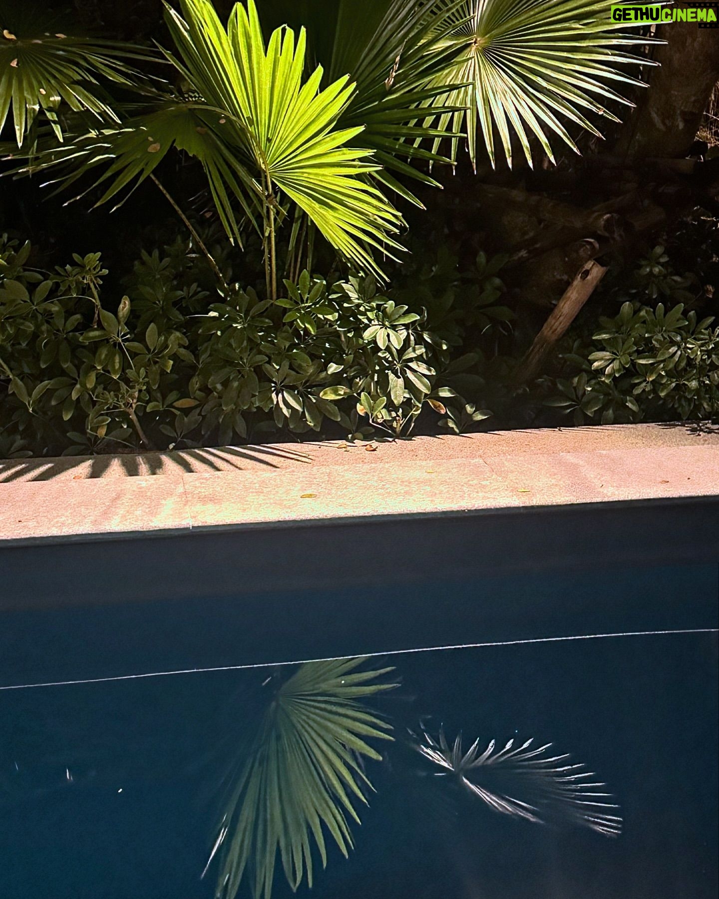 Chermarn Boonyasak | Gethu Cinema