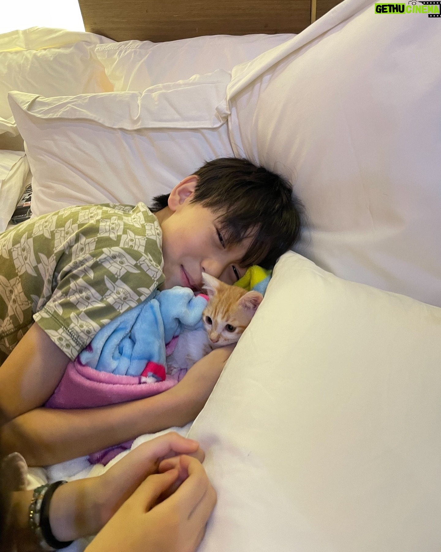 Actress Chidjun Hung HD Instagram Photos and Wallpapers August 2024 ...