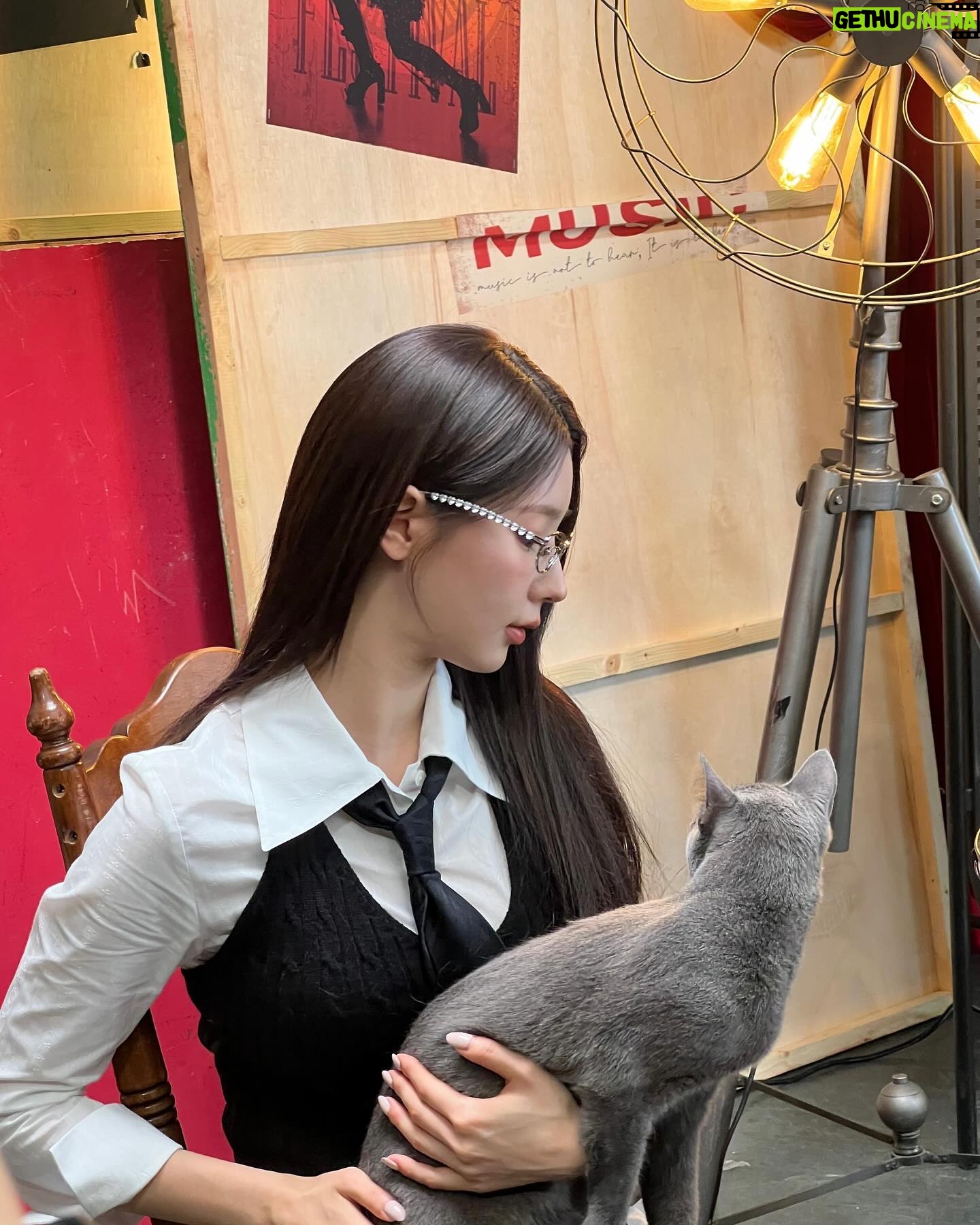 Cho Mi-yeon | Gethu Cinema