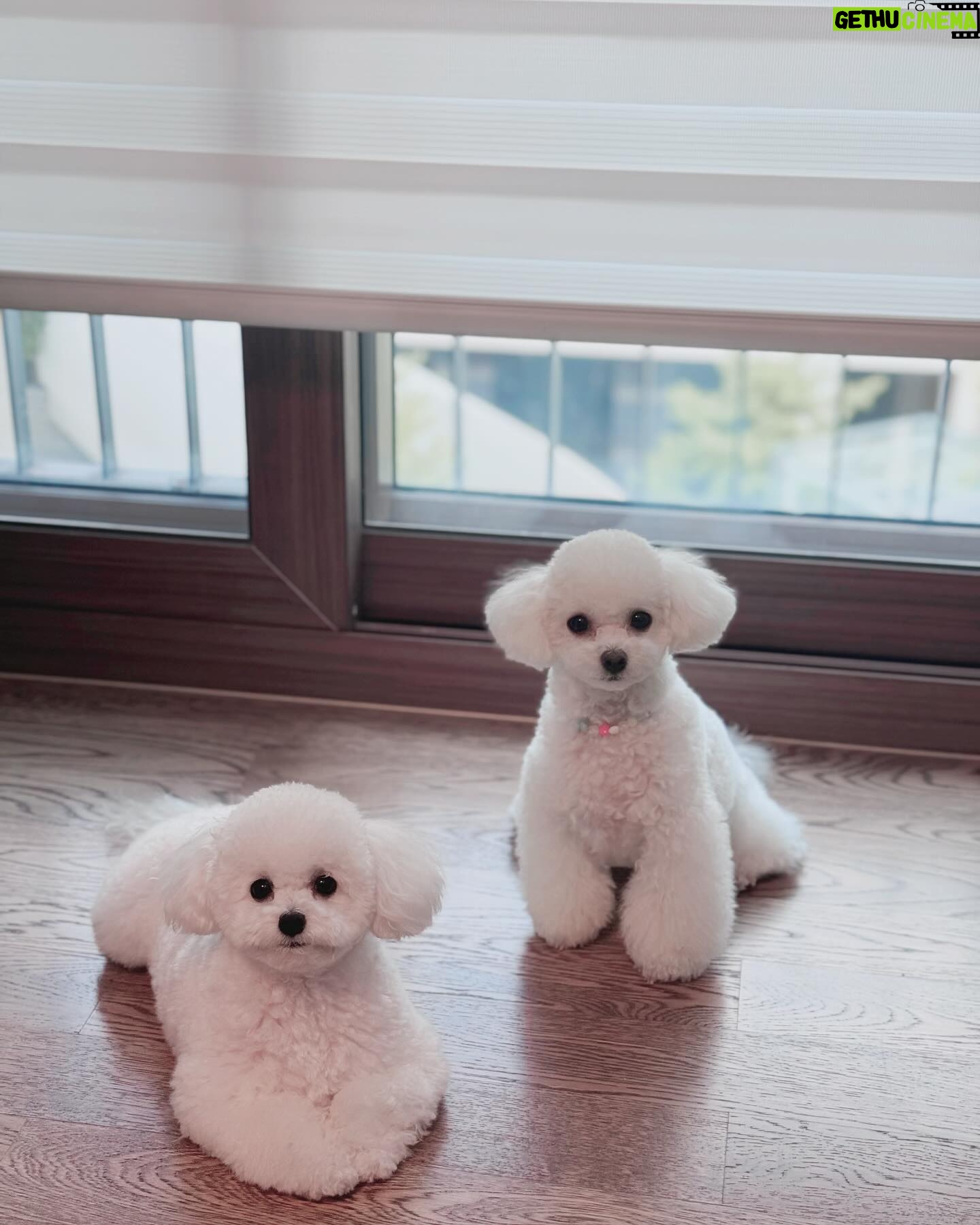 Clara Lee | Gethu Cinema