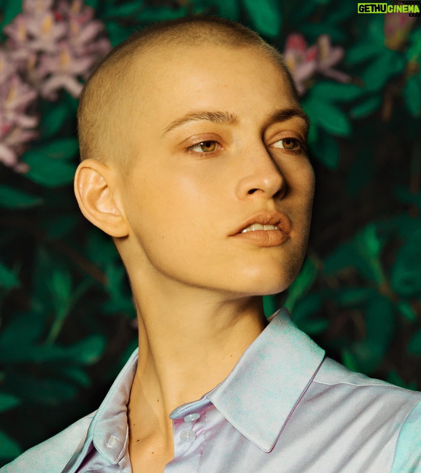 Emilio Insolera | Gethu Cinema