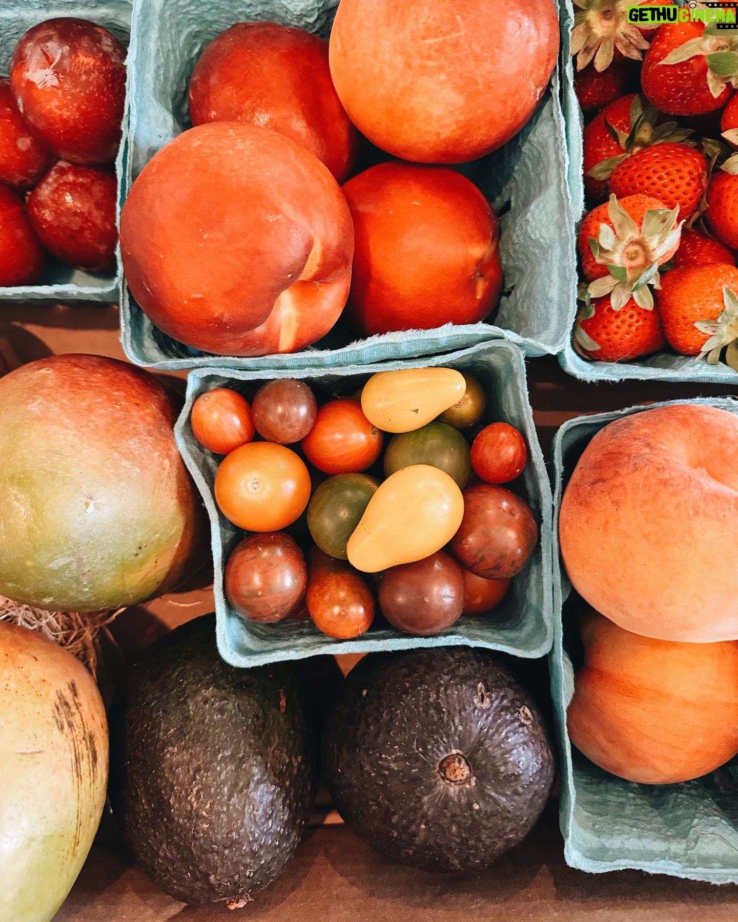 Emily Wickersham | Gethu Cinema