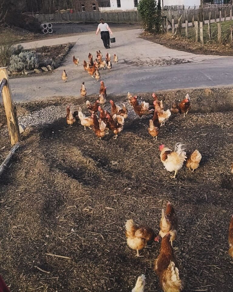 10 Most Popular Instagram Photos of Jimmy Kelly