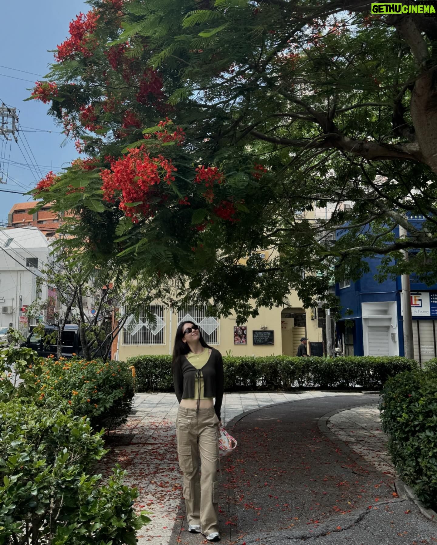 Kim Jin-kyung | Gethu Cinema