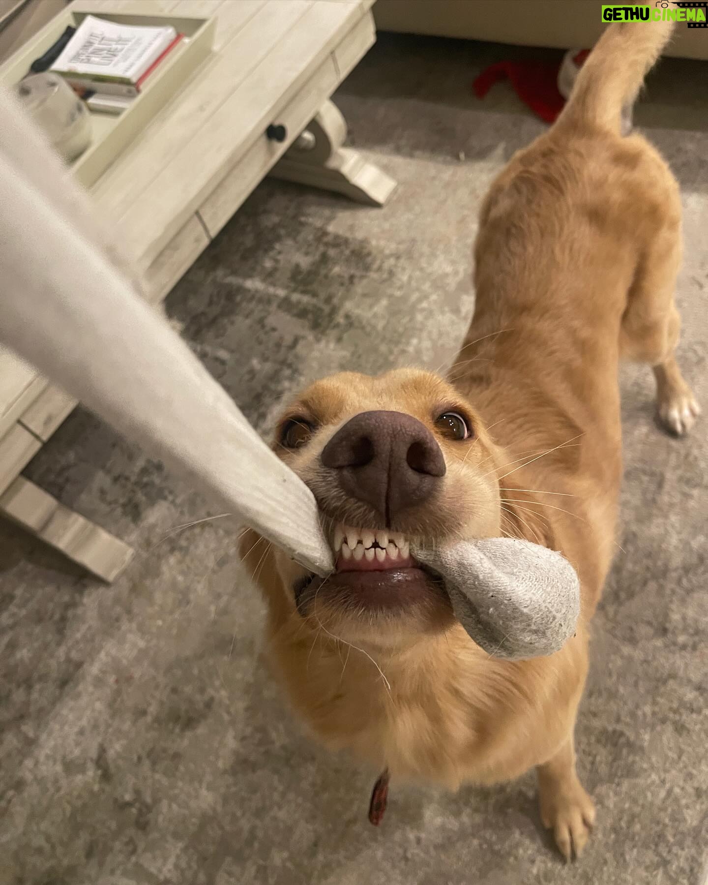 Actress Madison Lewis HD Instagram Photos and Wallpapers June 2024 ...