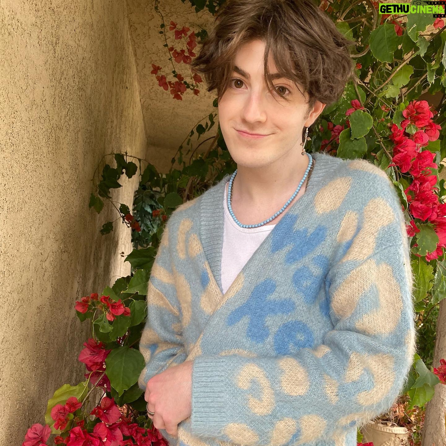 Mason Cook | Gethu Cinema