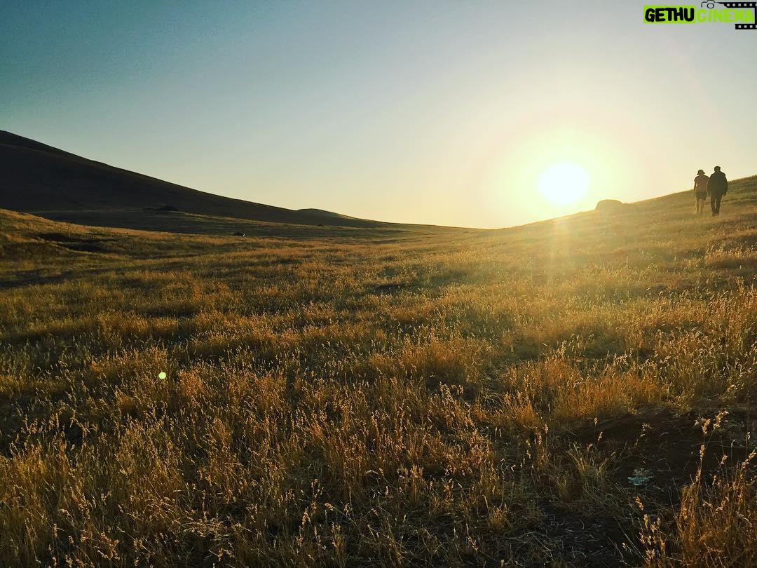 Matt Letscher | Gethu Cinema