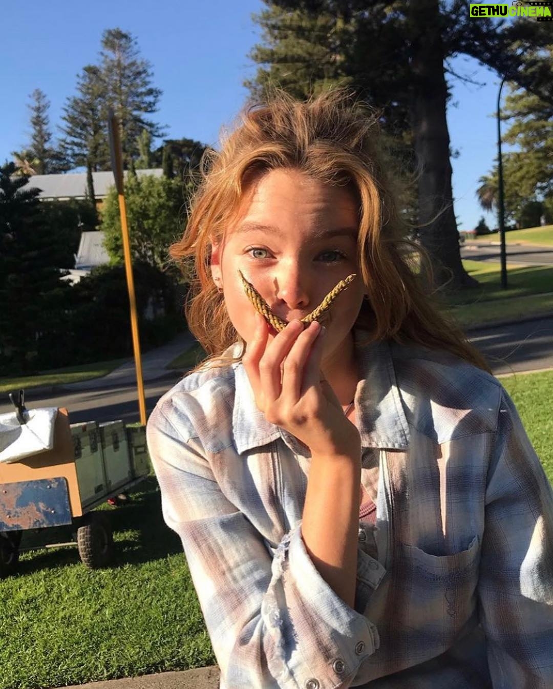 Milly Alcock | Gethu Cinema