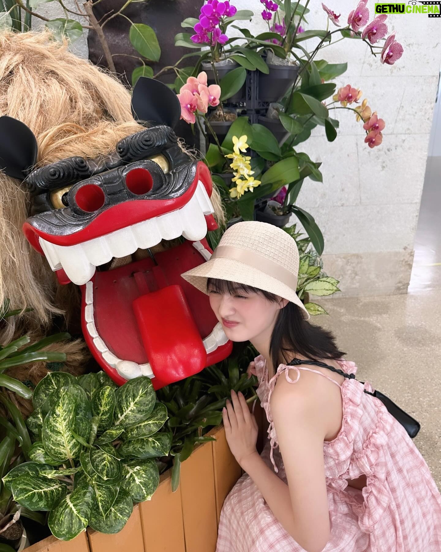 Noa Tsurushima Most Liked Photos and Posts | Gethu Cinema