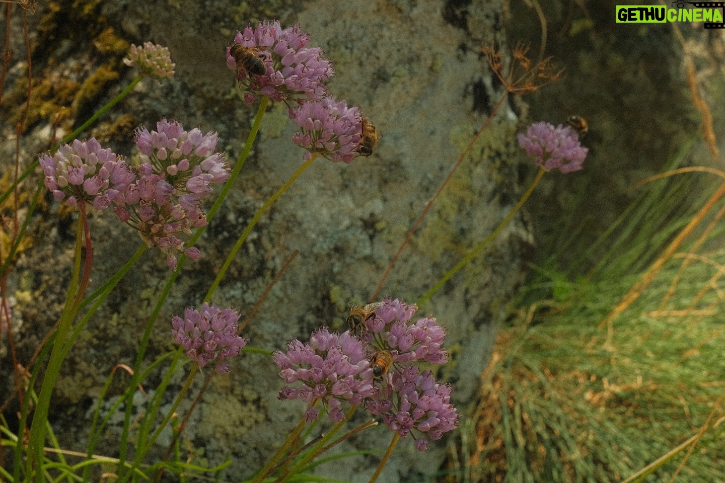Actor Raphael Luce HD Instagram Photos and Wallpapers August 2024 ...