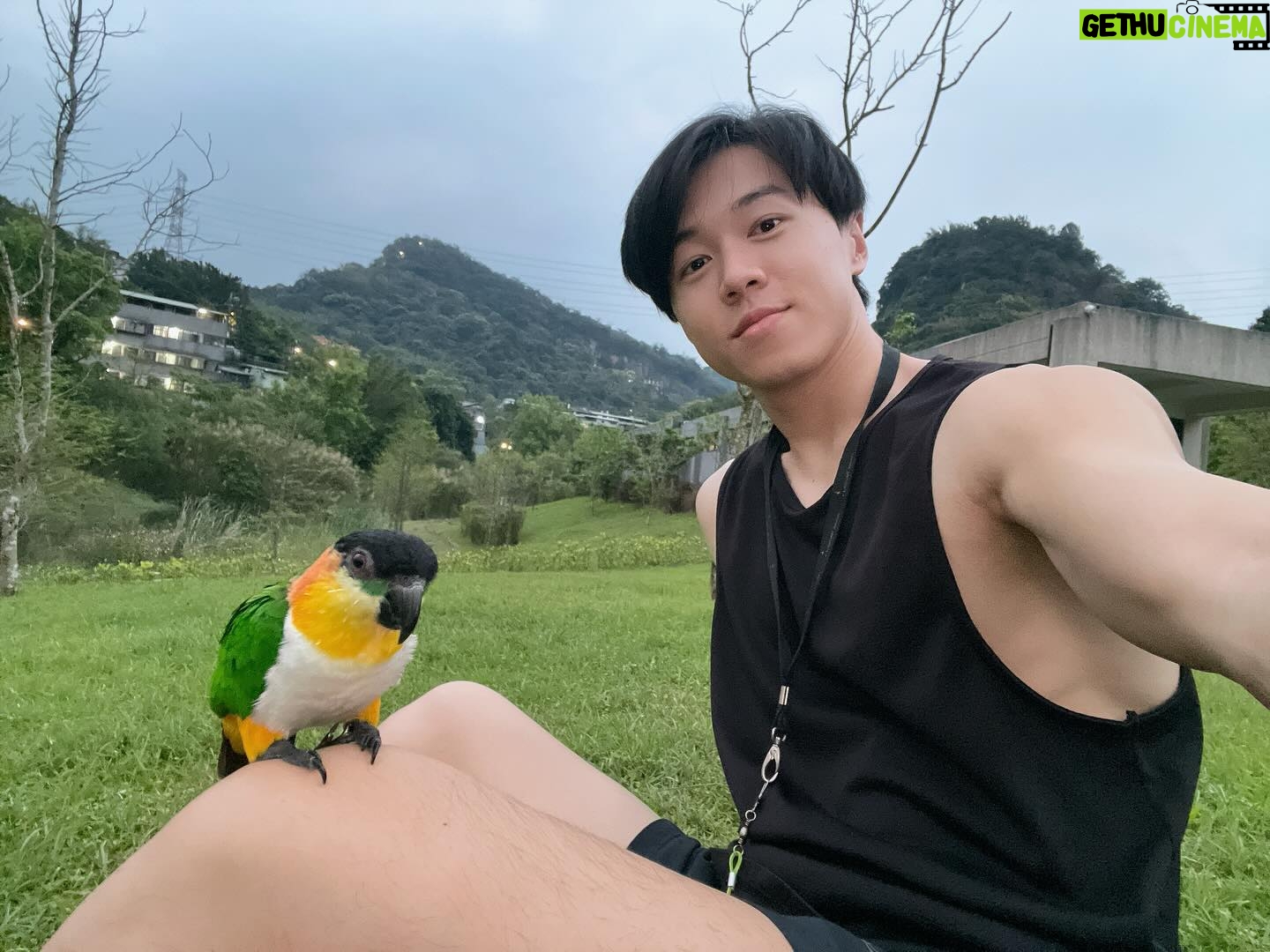 Shu-ting You Wiki, Biography, Age, Gallery, Spouse and more