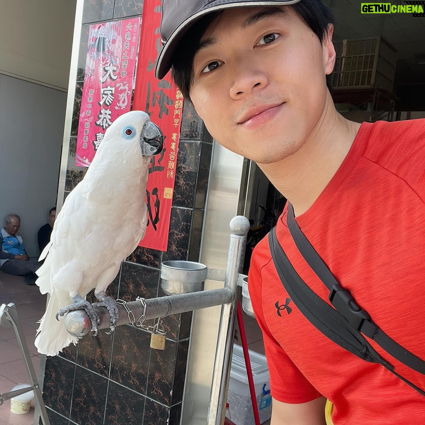 Shu-ting You Wiki, Biography, Age, Gallery, Spouse and more