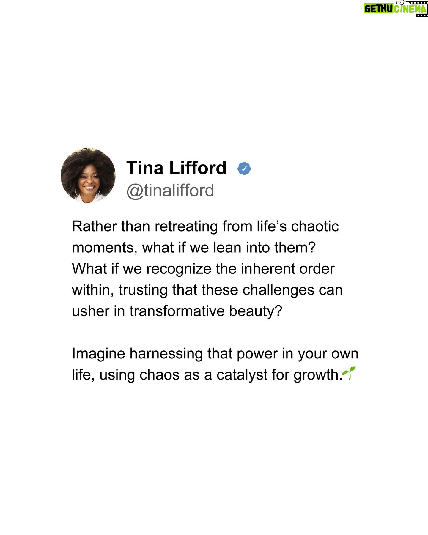 Tina Lifford Wiki, Biography, Age, Gallery, Spouse and more