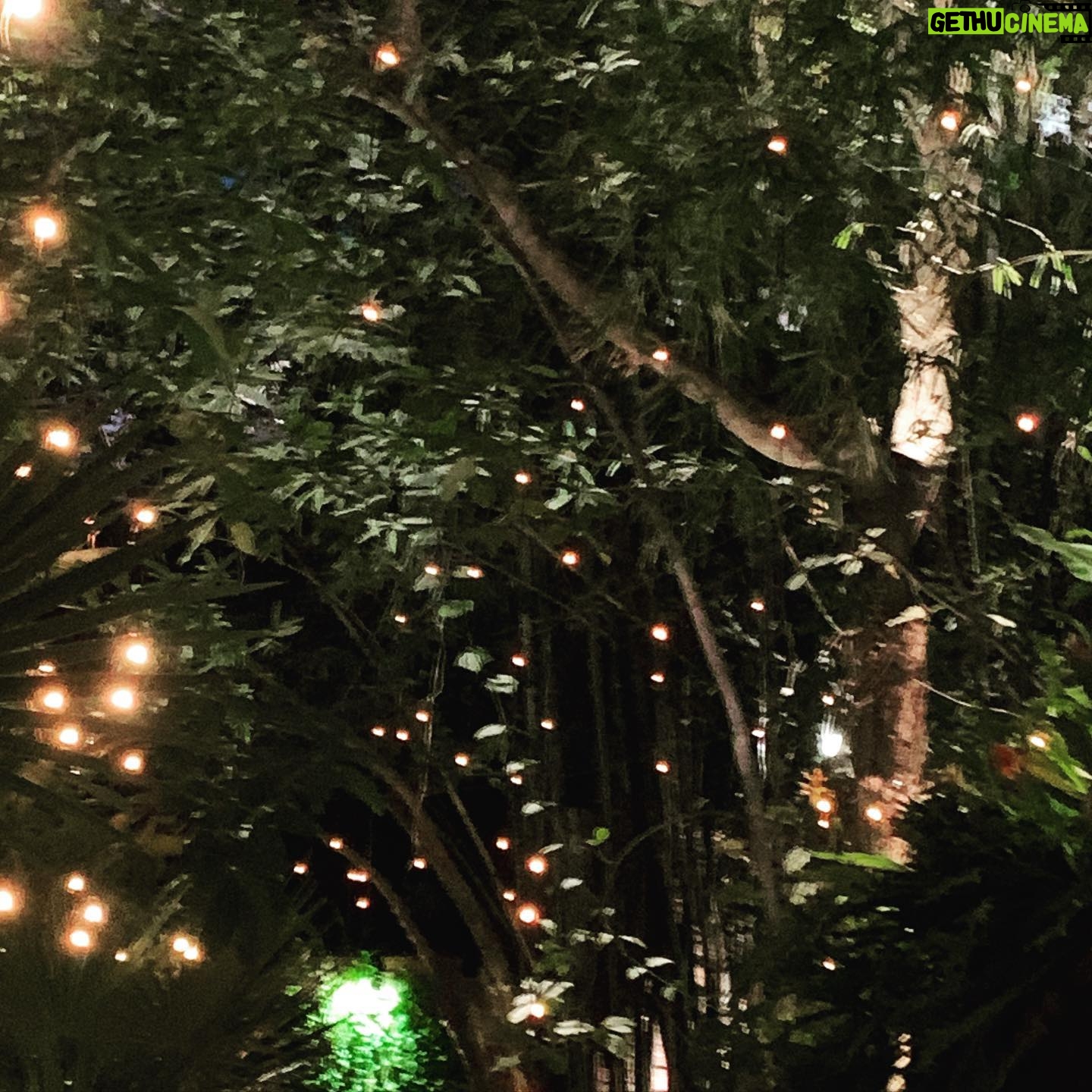 Trevor Duke-Moretz | Gethu Cinema