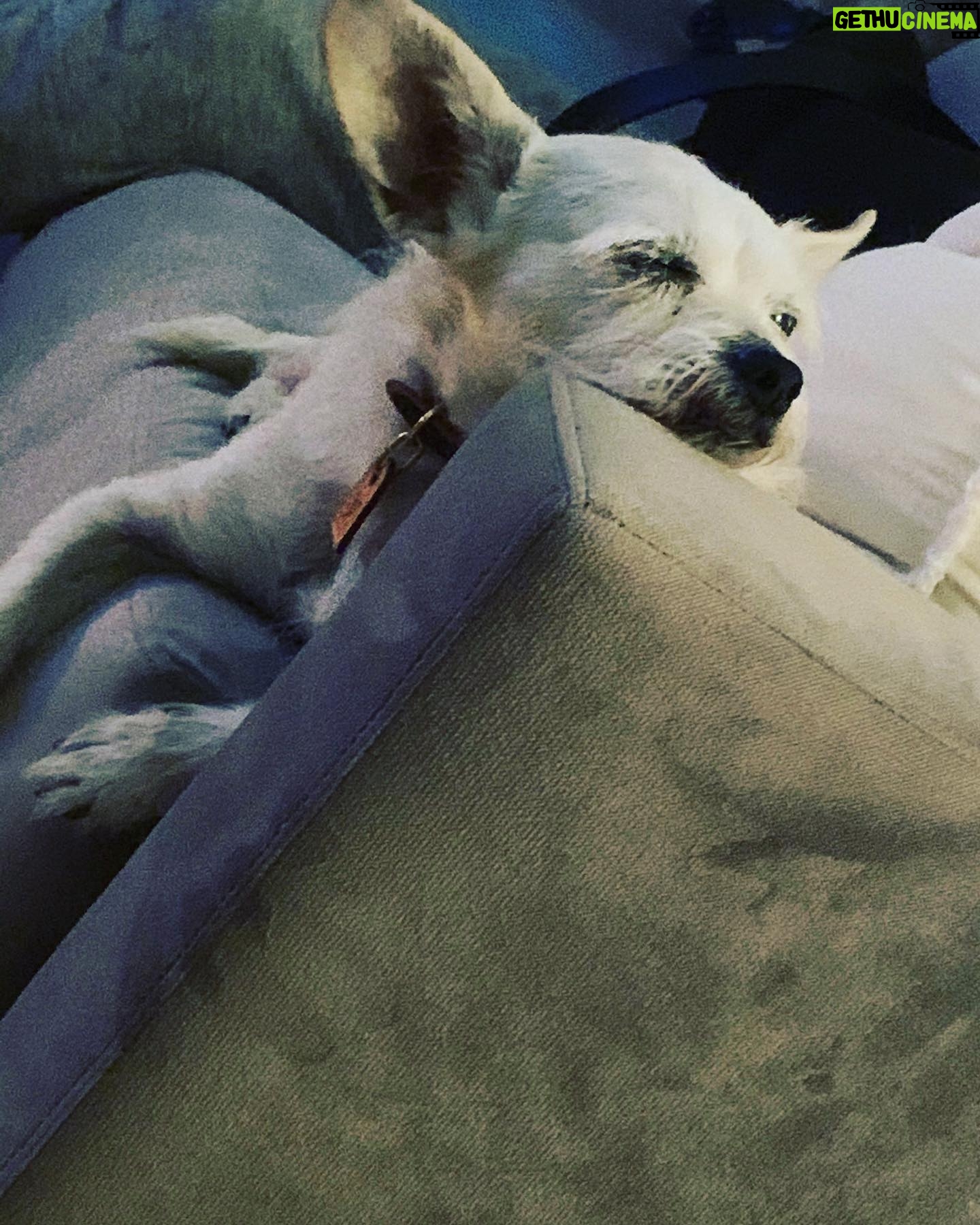 Trevor Duke-Moretz | Gethu Cinema