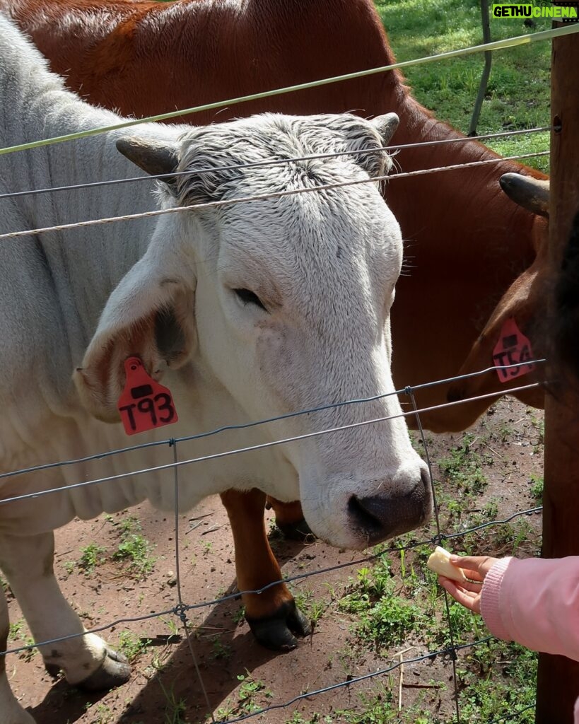 Actress Chandrika Ravi HD Photos and Wallpapers December 2024 | Gethu ...