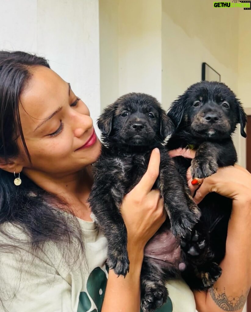 Actress Megha Gupta HD Instagram Photos and Wallpapers September 2024 ...