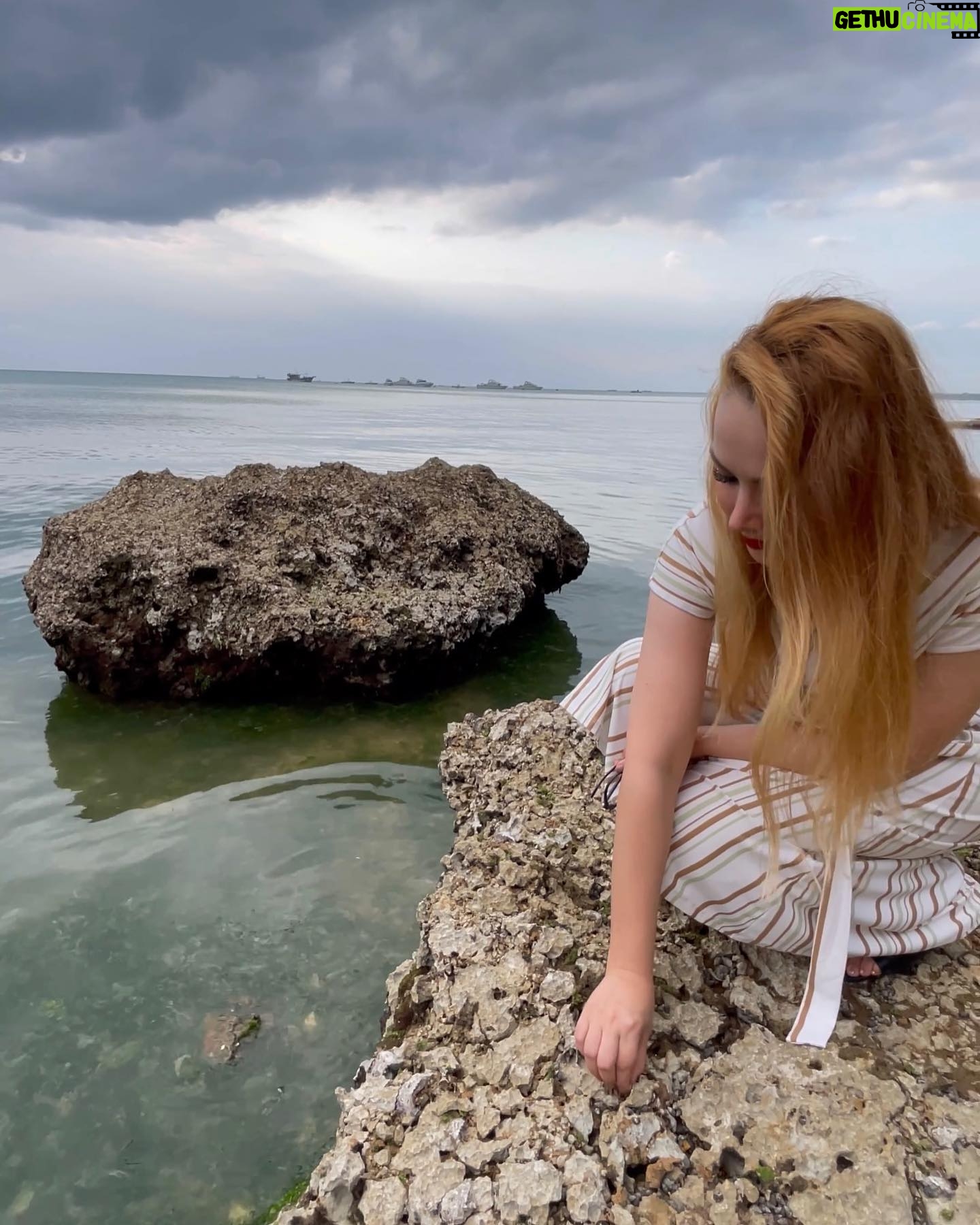 Nazanin Amiri Wiki, Biography, Age, Gallery, Spouse and more