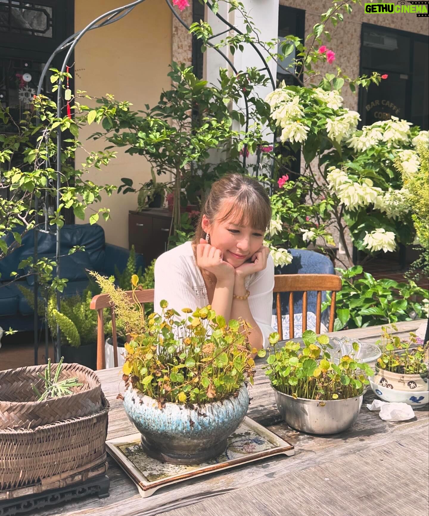 Actress Snow Suen HD Instagram Photos and Wallpapers September 2024 ...