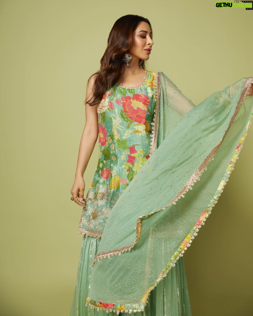 Actress Sophie Choudry HD Photos and Wallpapers January 2025 | Gethu Cinema
