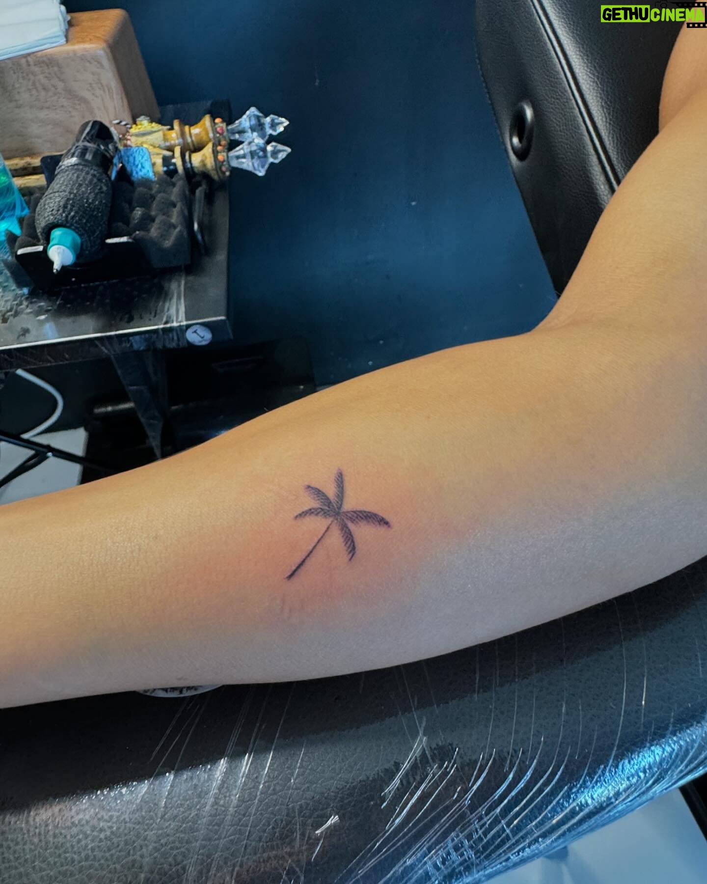 Actress Telma Monteiro HD Photos and Wallpapers September 2024 | Gethu ...