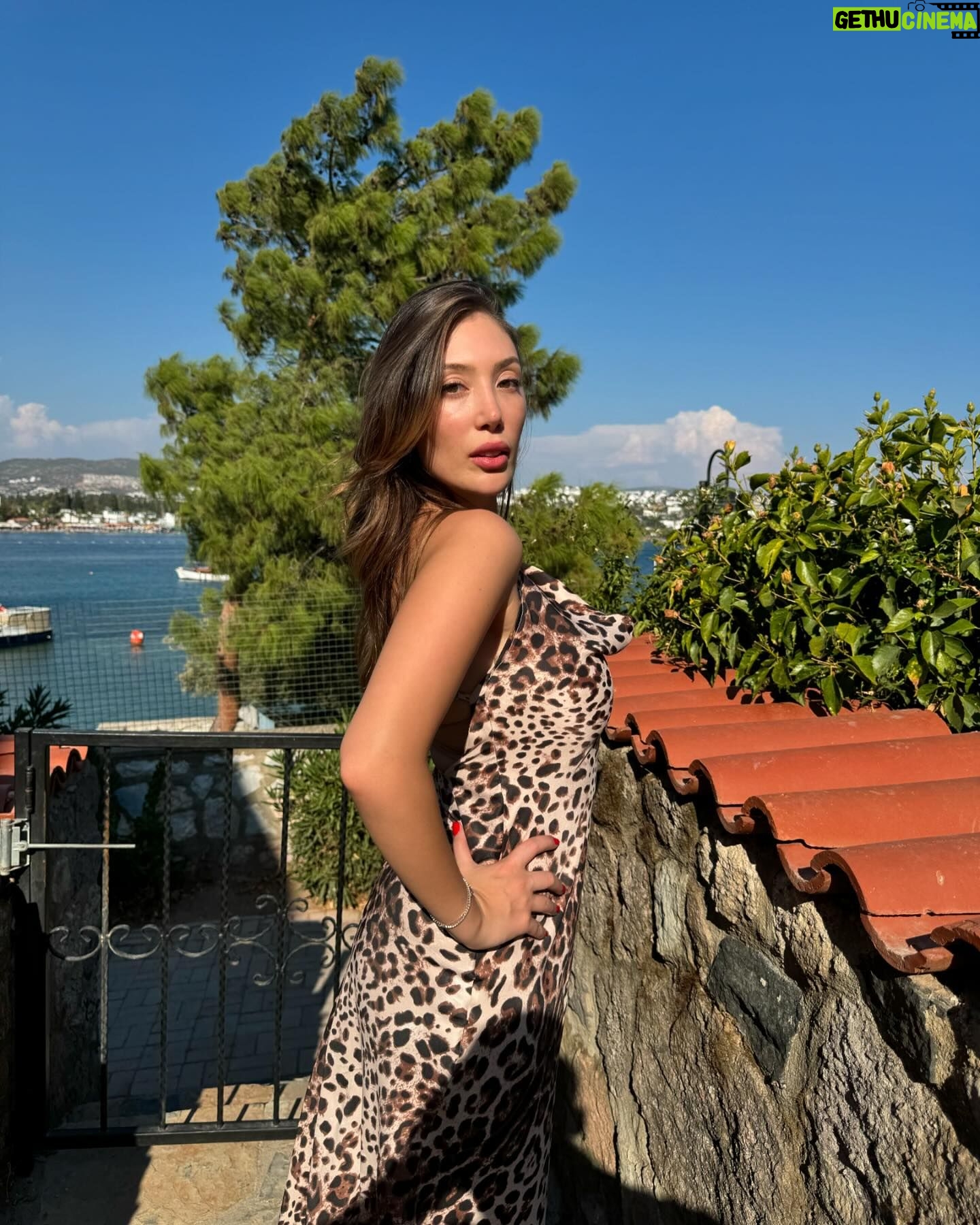 Yasmin Erbil | Gethu Cinema