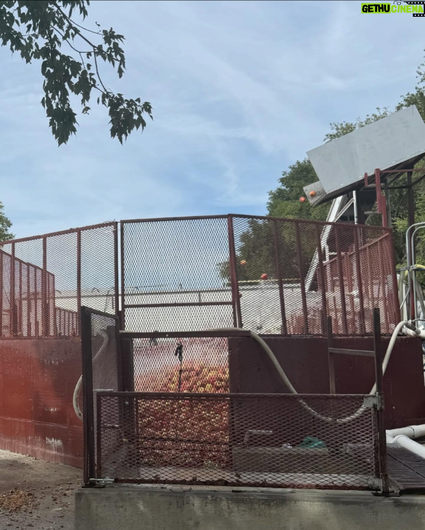 Chelsea Cook | Gethu Cinema