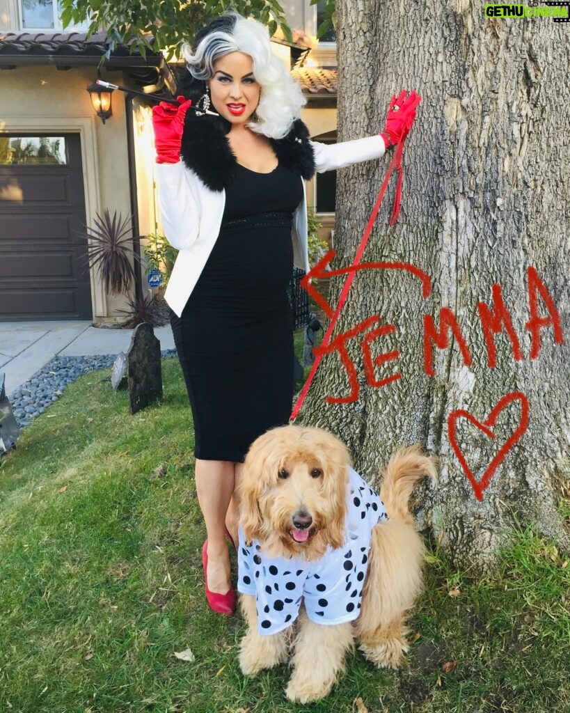 Actress Jessica Collins HD Photos and Wallpapers November 2024 | Gethu ...