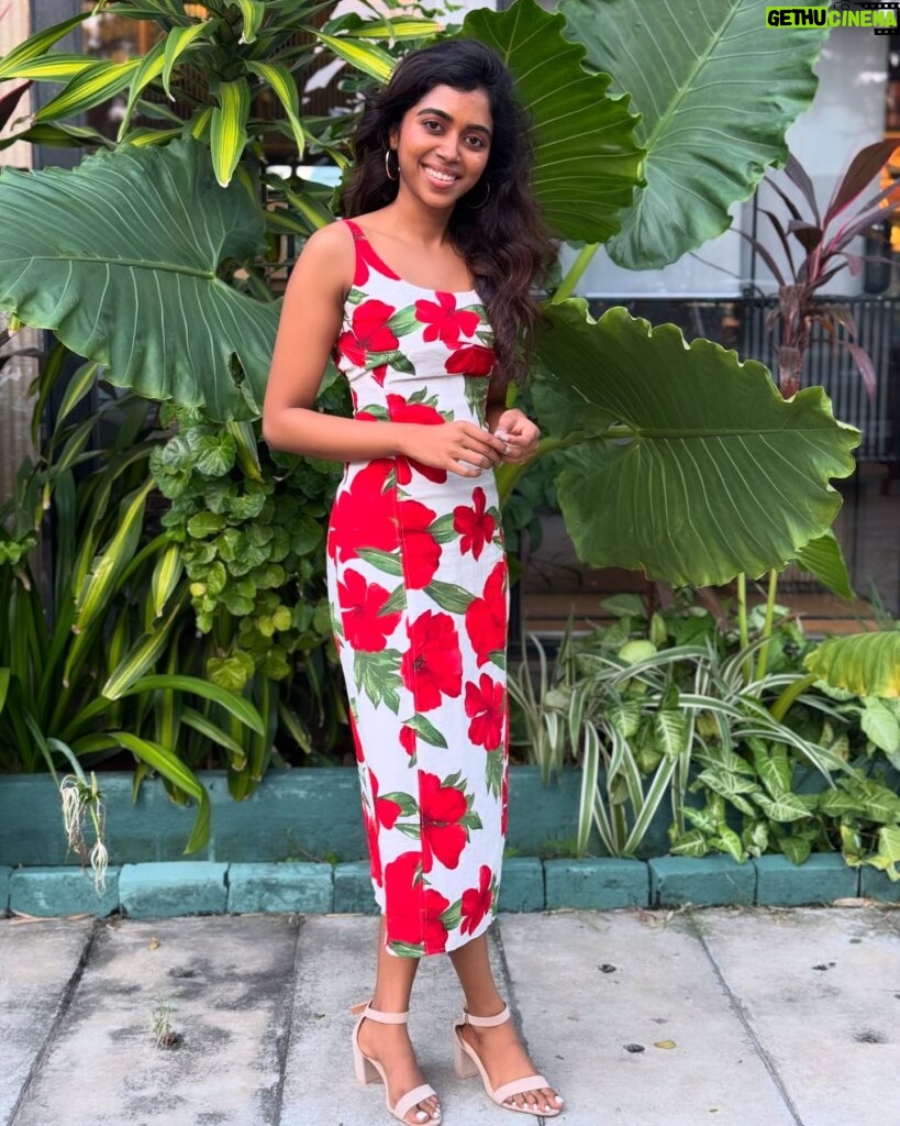Actress Lovelyn Chandrasekhar HD Photos and Wallpapers January 2025 ...