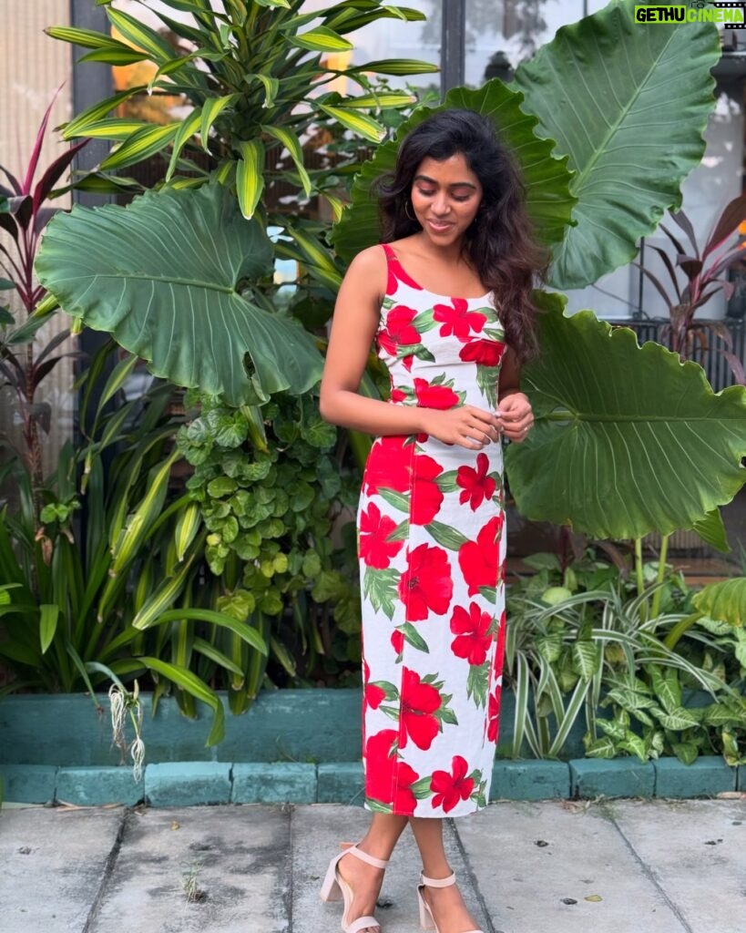 Actress Lovelyn Chandrasekhar HD Photos and Wallpapers January 2025 ...