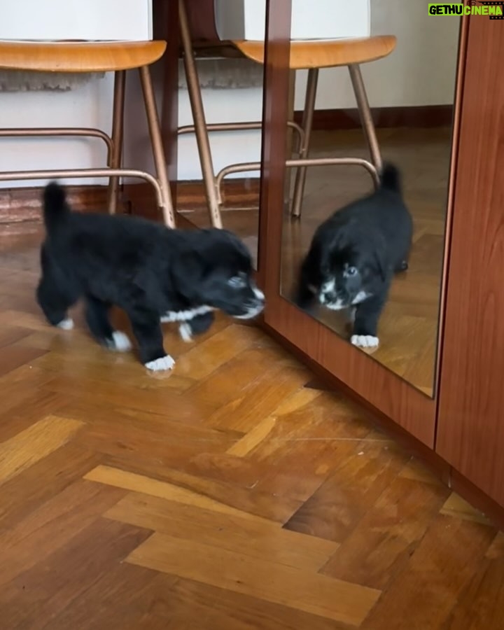 Actress Nadia Al Saidi HD Photos and Wallpapers December 2024 | Gethu ...