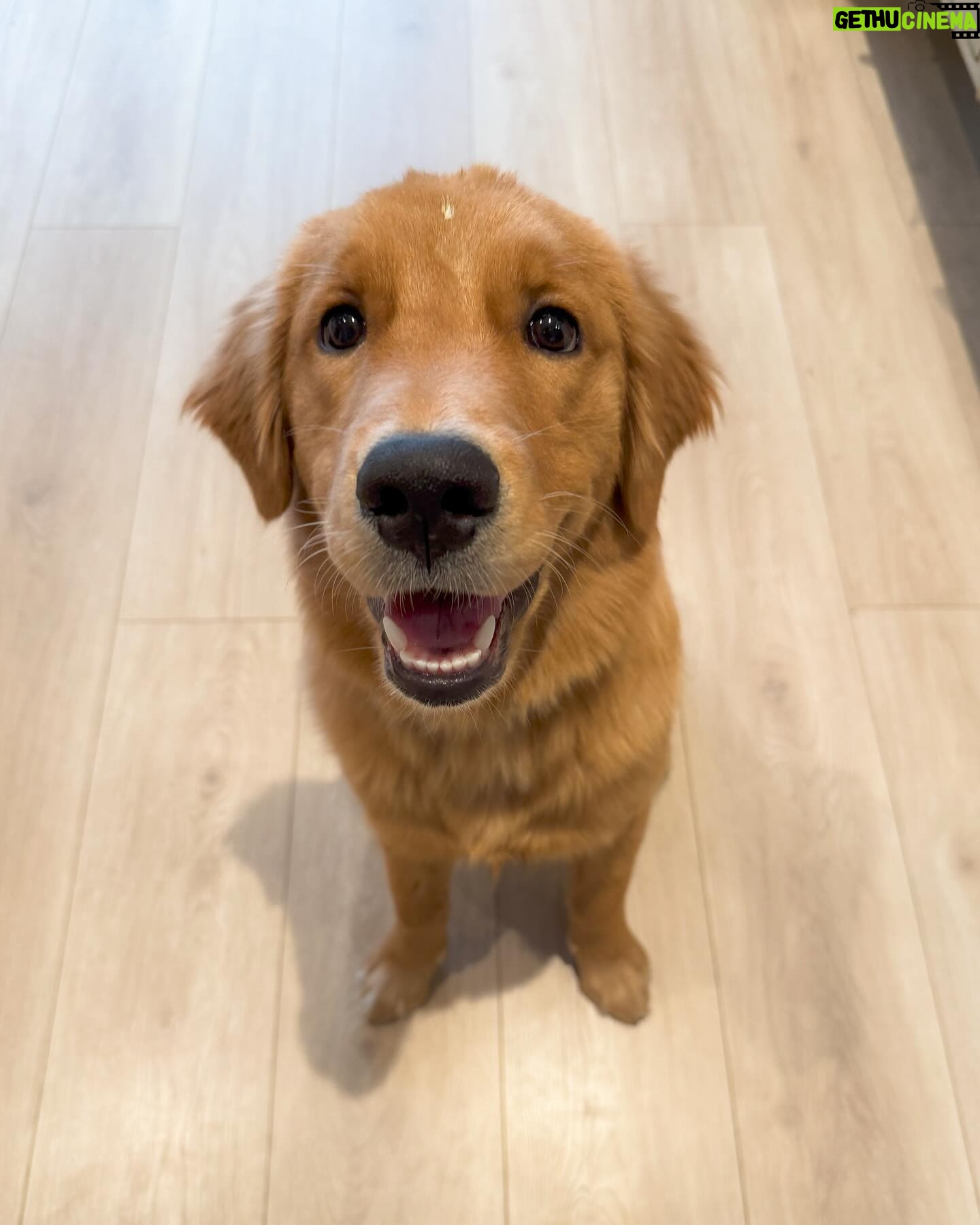 Aashna Shroff | Gethu Cinema