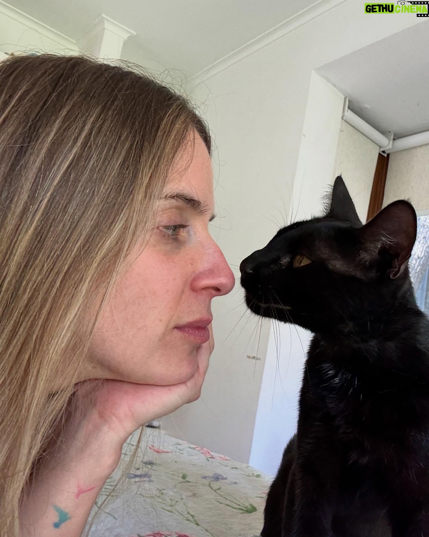 Actress Alison Mandel HD Photos and Wallpapers January 2025 | Gethu Cinema