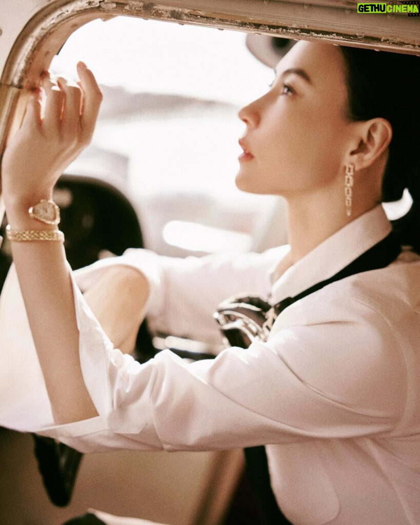 Actress Cecilia Cheung HD Photos and Wallpapers December 2024 | Gethu ...