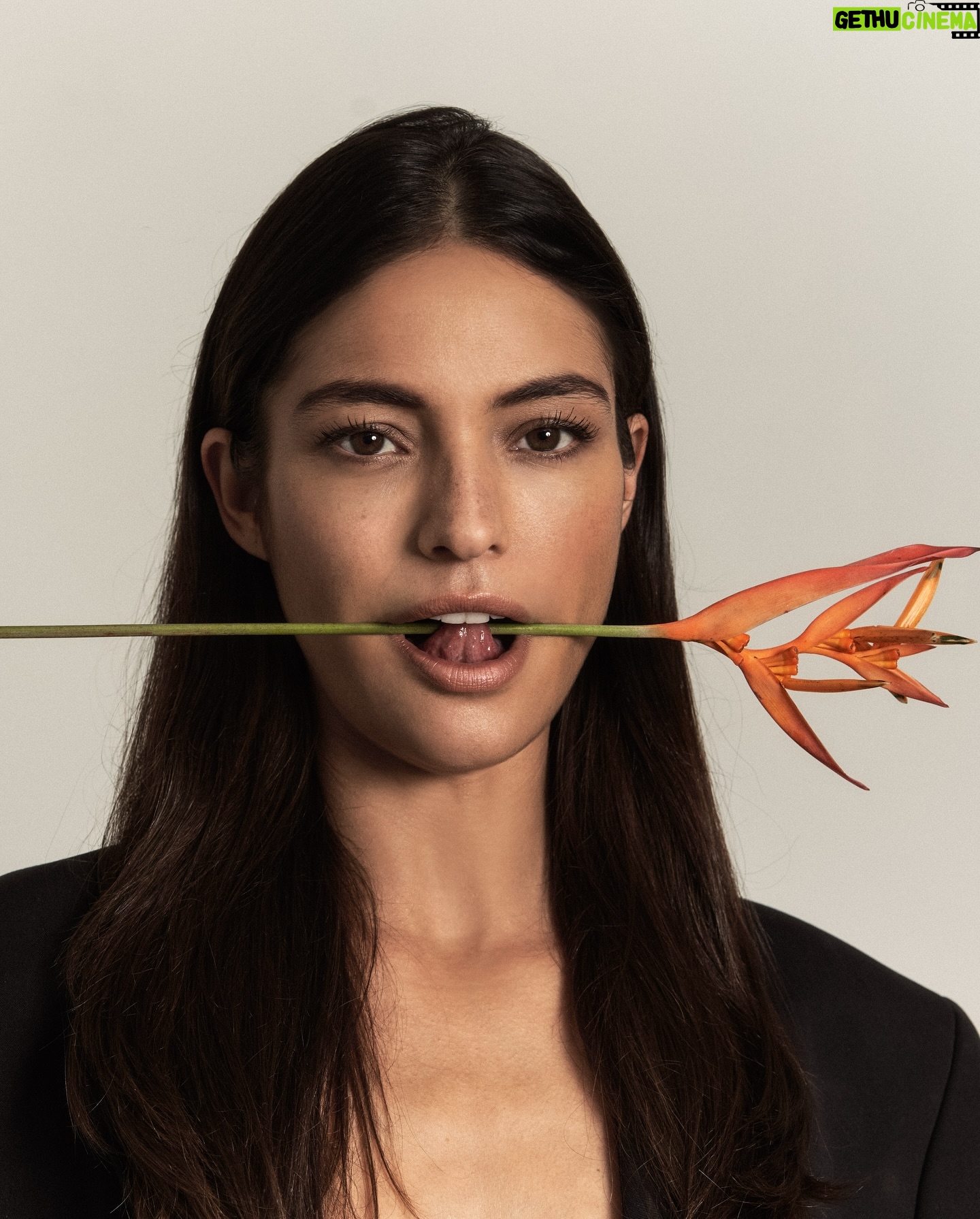 Actress Cynthia Aparecida HD Photos and Wallpapers February 2025 ...