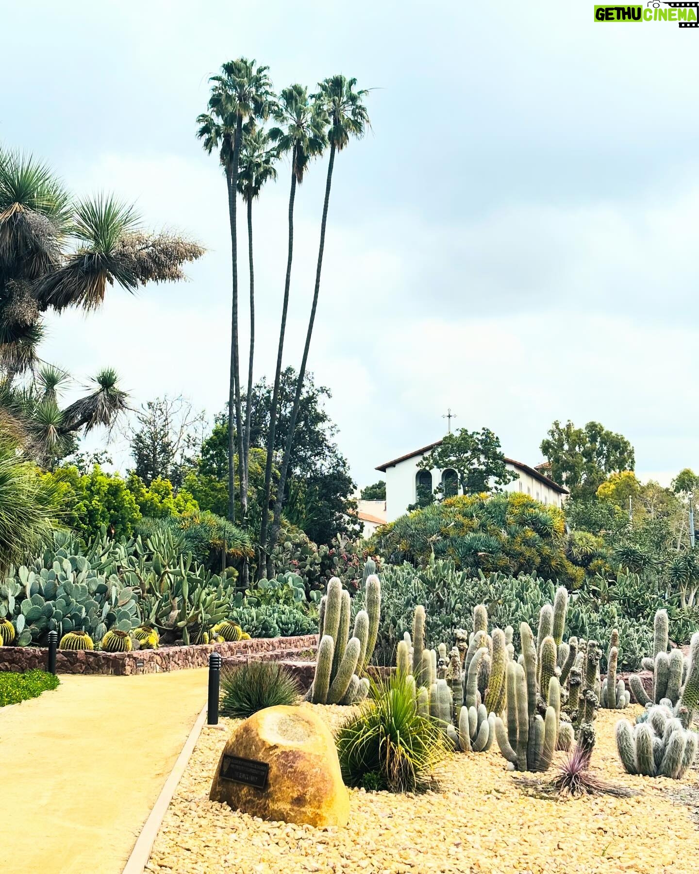 Emma Raducan | Gethu Cinema