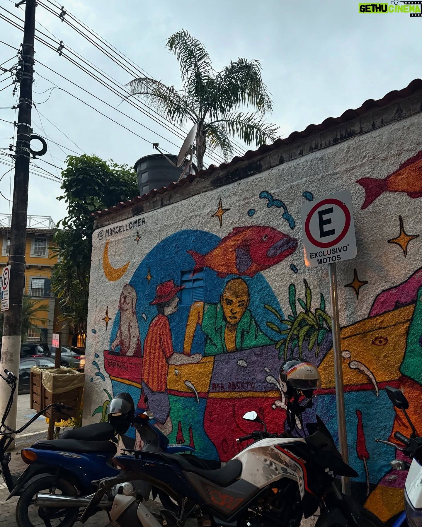 Actress Fernanda Concon HD Photos and Wallpapers February 2025 | Gethu ...