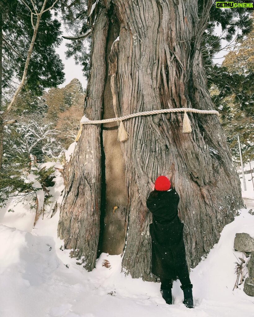 Actress Hebe Tien Fu-chen HD Photos and Wallpapers December 2024 ...