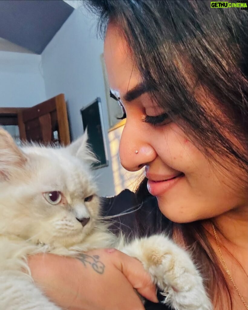 Actress Janani Ashok Kumar HD Photos and Wallpapers December 2024 | Gethu Cinema