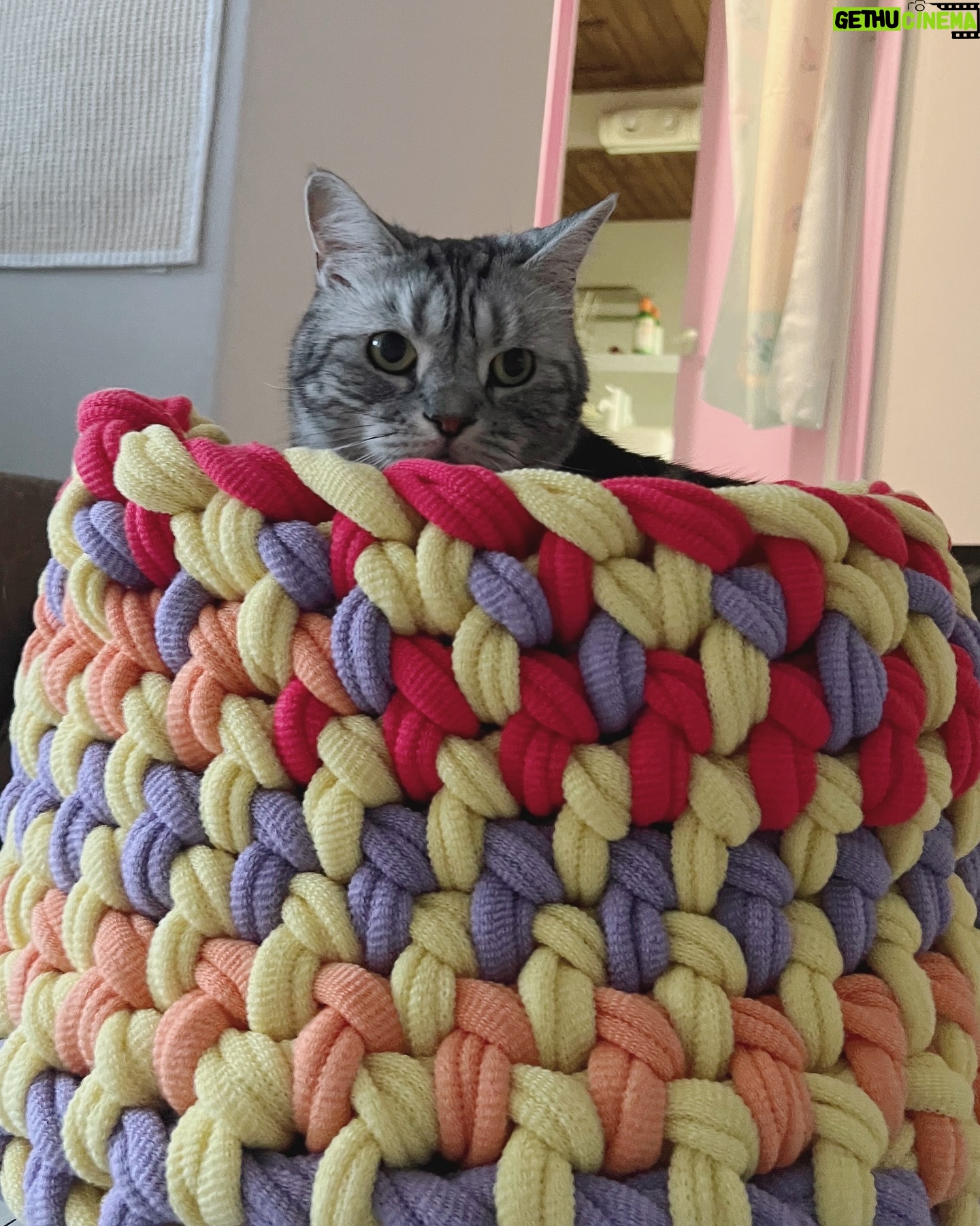 Jun Hyo-seong | Gethu Cinema