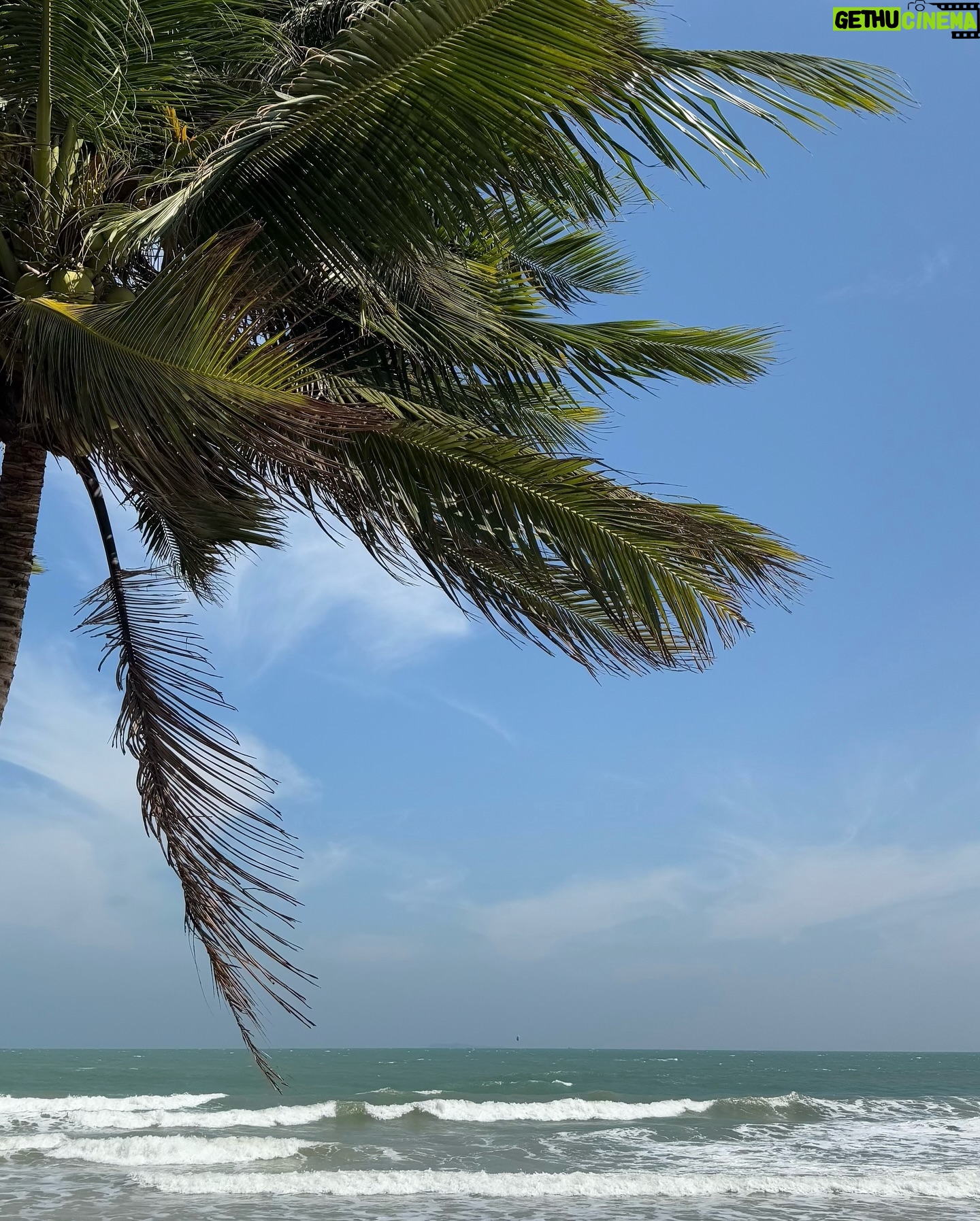 Kanyaphak Pongsak | Gethu Cinema