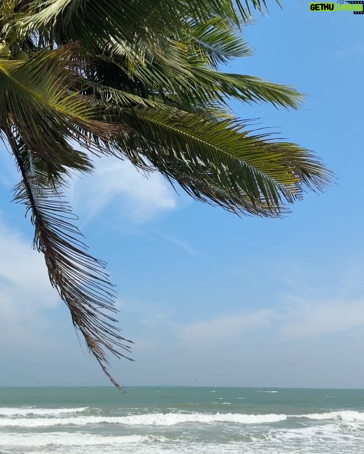 Kanyaphak Pongsak | Gethu Cinema